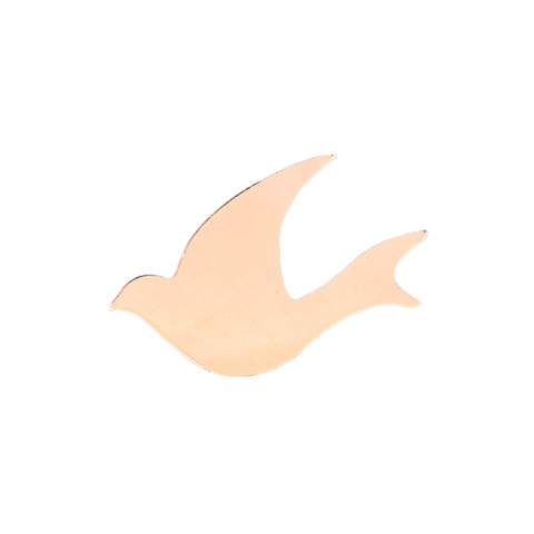 Collections – Twisted Turtle Studio