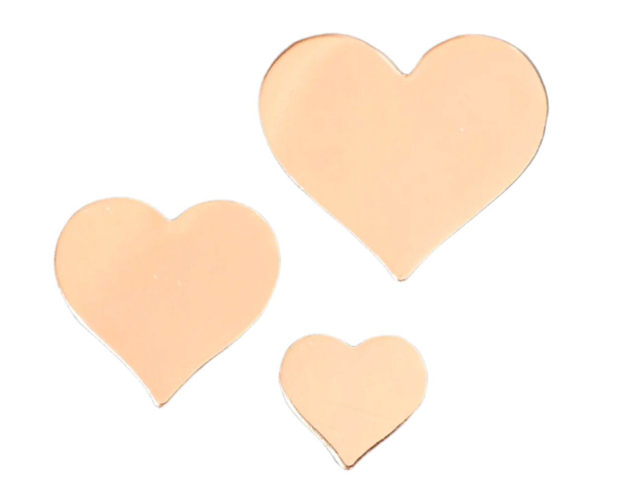 Twisted Turtle Studio