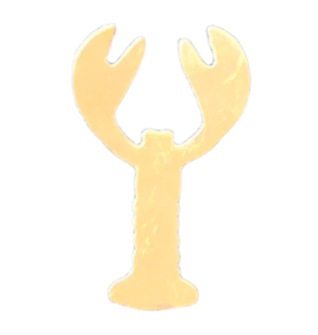 New Arrivals – Twisted Turtle Studio