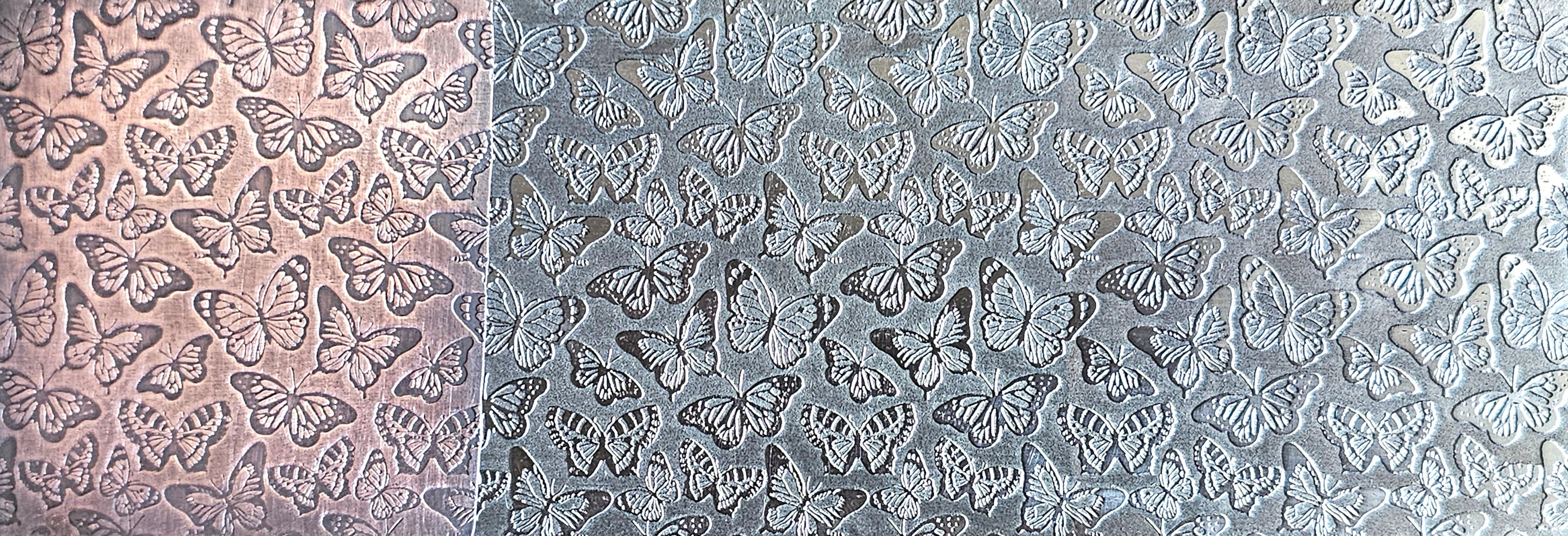 Twisted Turtle Studio