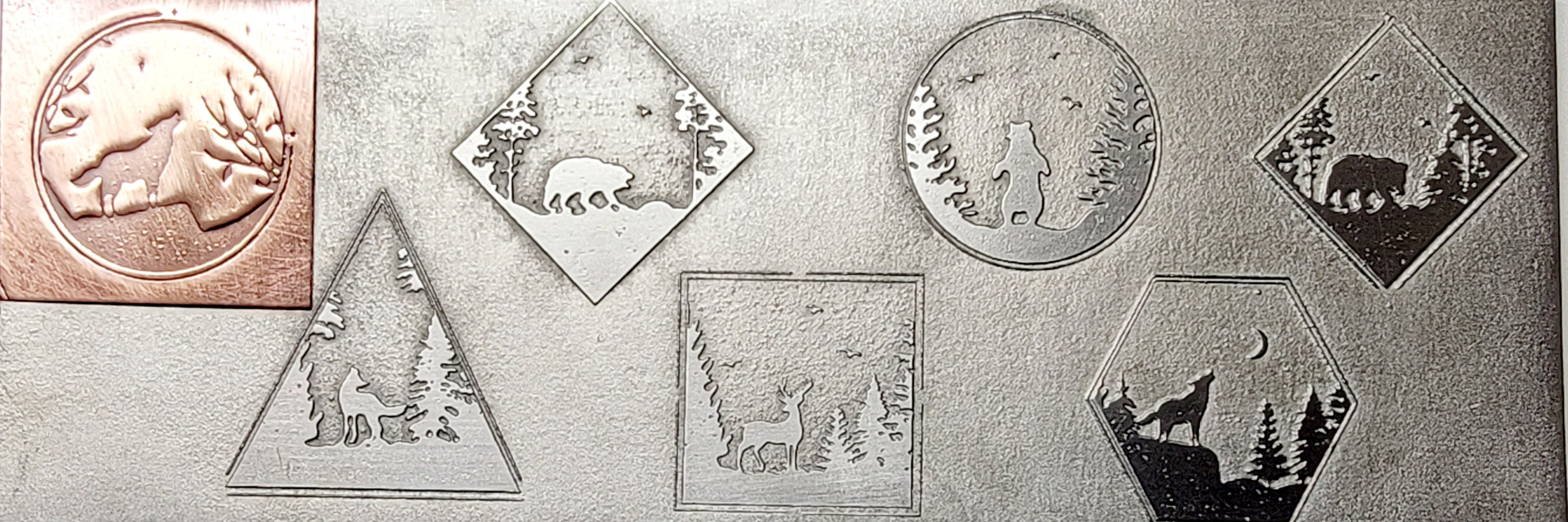 Twisted Turtle Studio