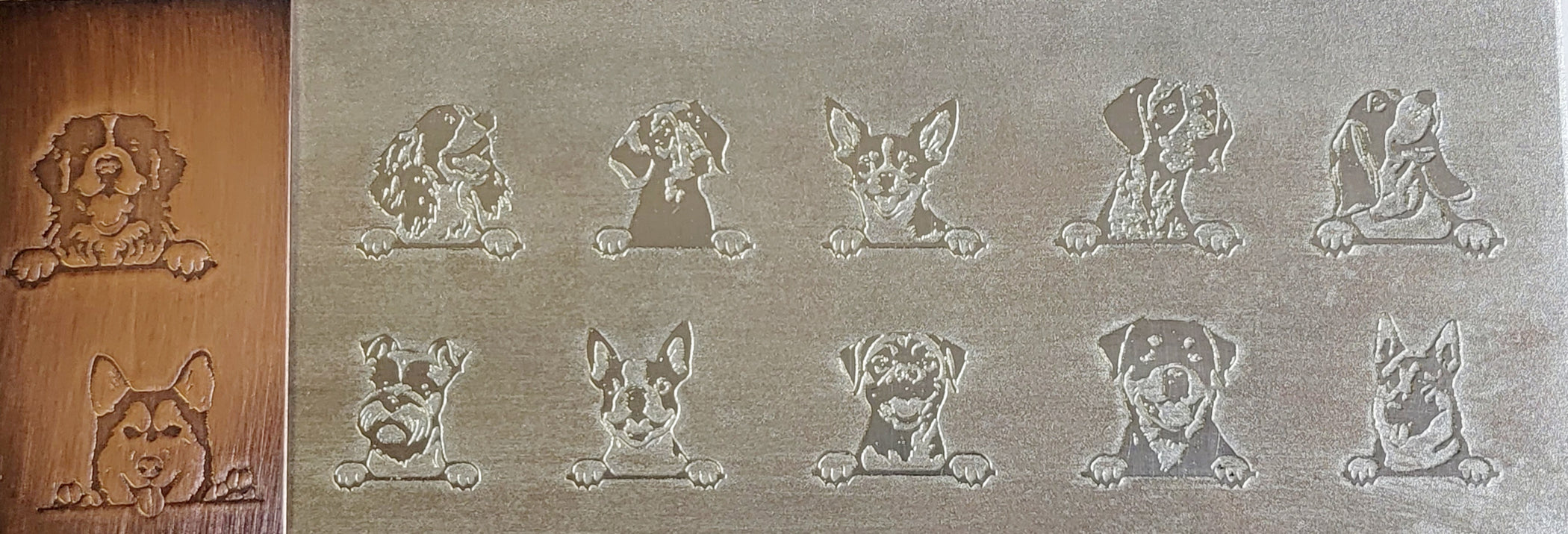 Twisted Turtle Studio