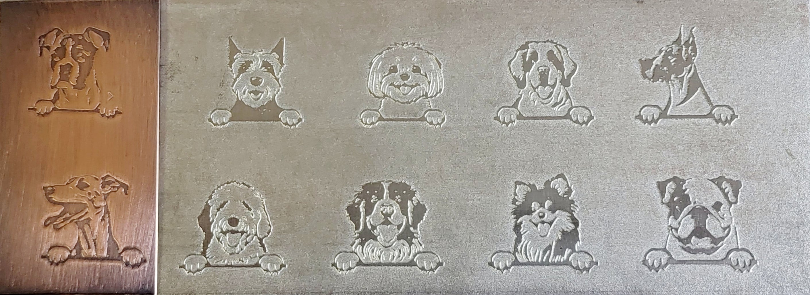 Twisted Turtle Studio